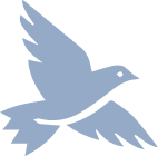 Menu – Turtle Doves development